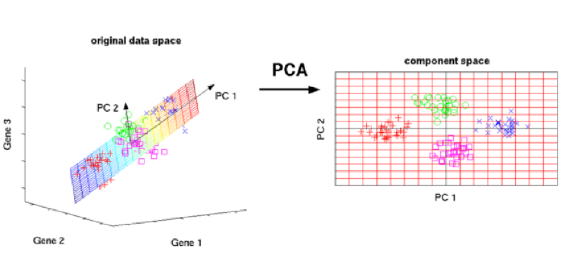 Análisis de Componentes Principales ¡Conoce TODA la info sobre este ...